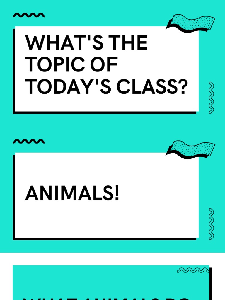 Fun Animal Class Activities | PDF | General Fiction
