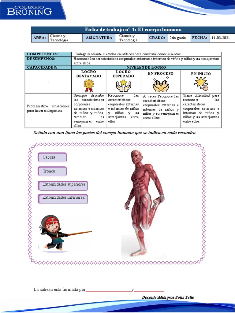 Miss Milagros - Ciencia-El Cuerpo Humano Ok | PDF | Science | Ciencia ...