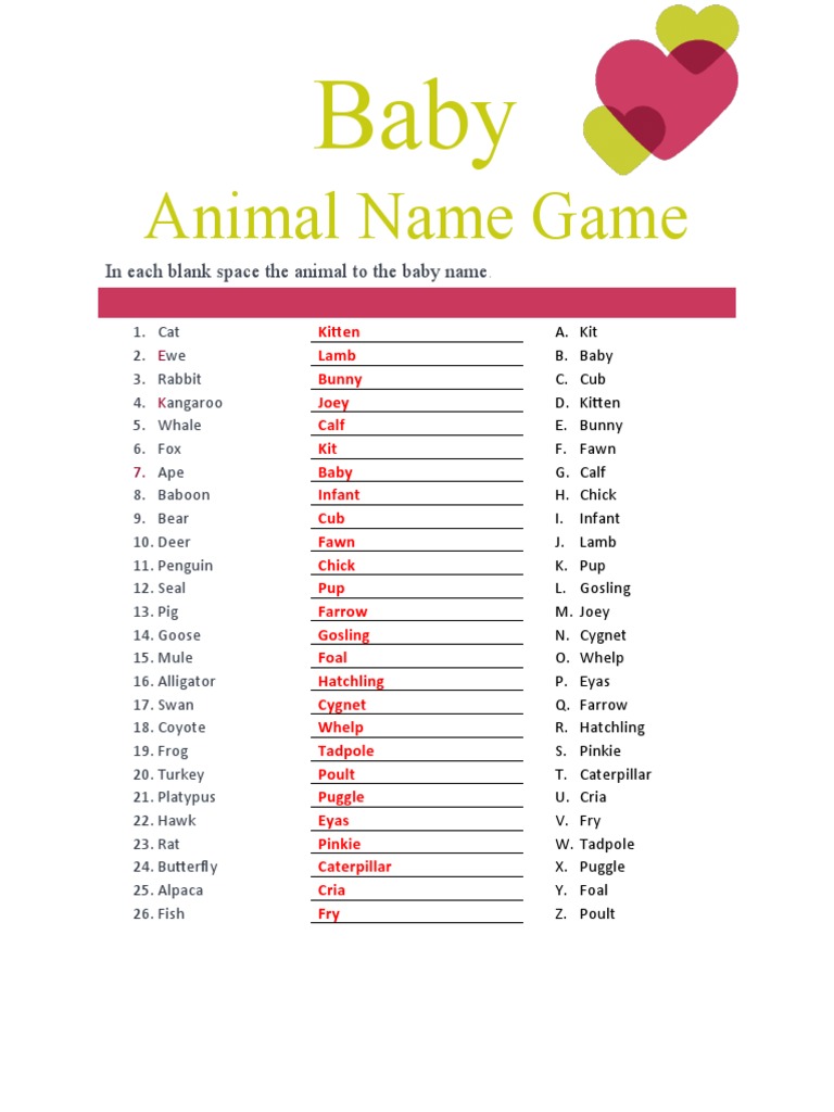 Baby Animal Name Matching Game | PDF