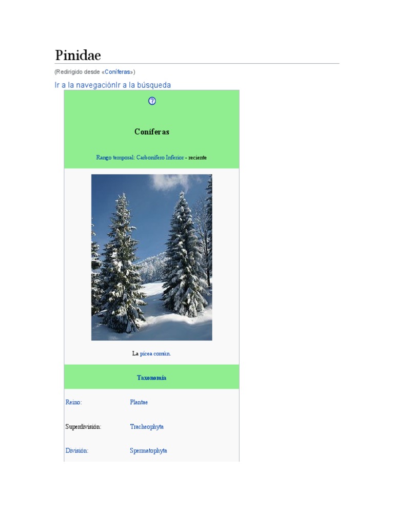 Pinidae Resumen | PDF | Pinophyta | Organismos