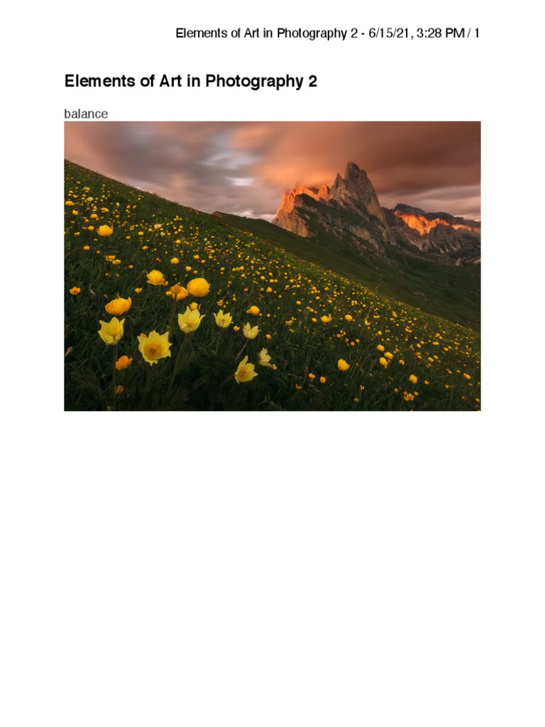 Elements of Art in Photography 2 | PDF