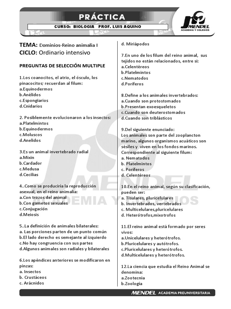 Dominios Reino Animalia | PDF | Invertebrado | Esponja