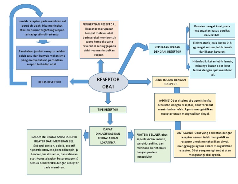 Mind Mapping Reseptor Obat | PDF
