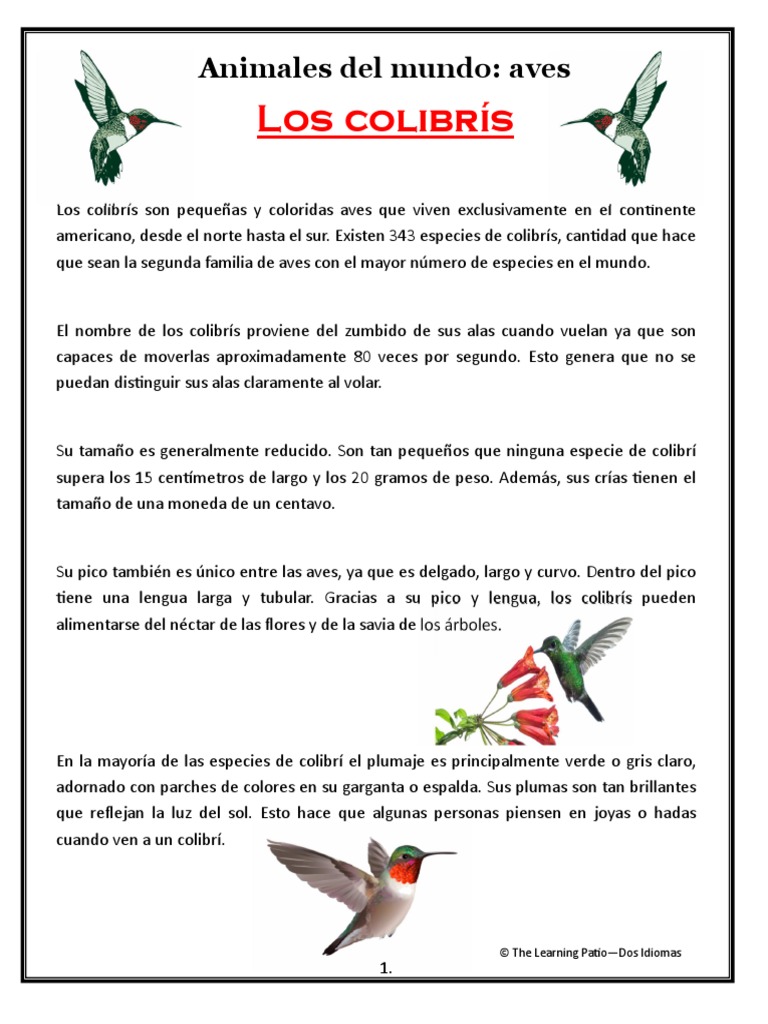 Colibris | PDF | Aves | Paravianos