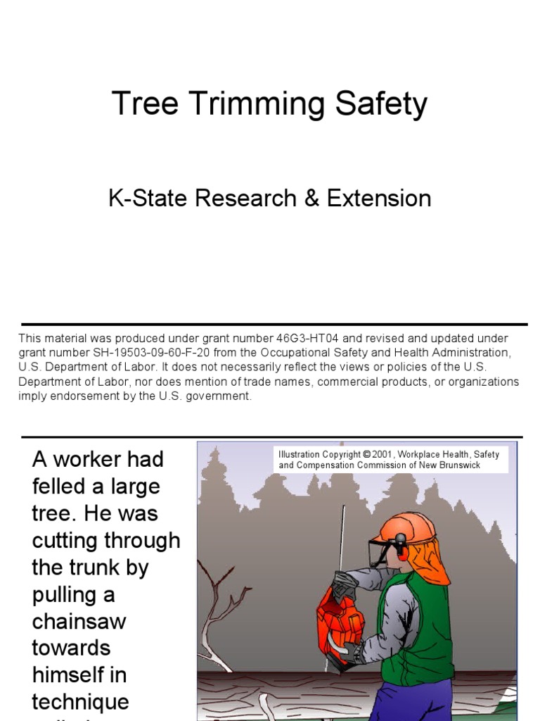 Tree Trimming Safety | PDF | Logging | Occupational Safety And Health ...