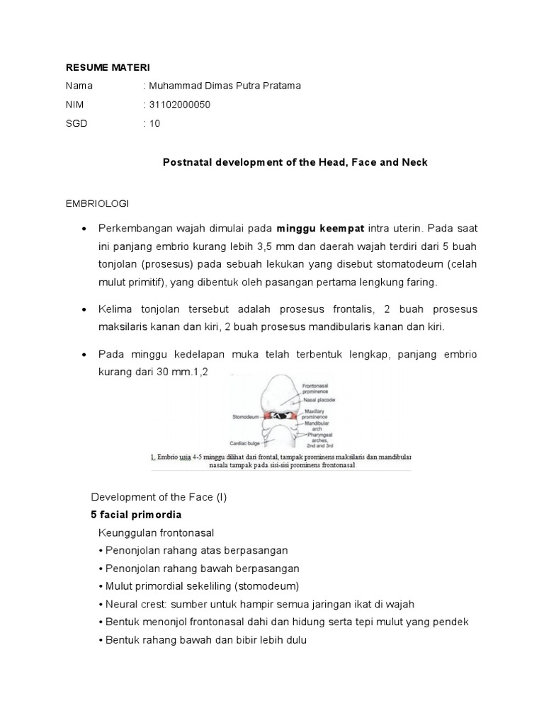 Resume Materi Dan Resume Jurnal - Muhammad Dimas Putra Pratama - 31102000050 | PDF