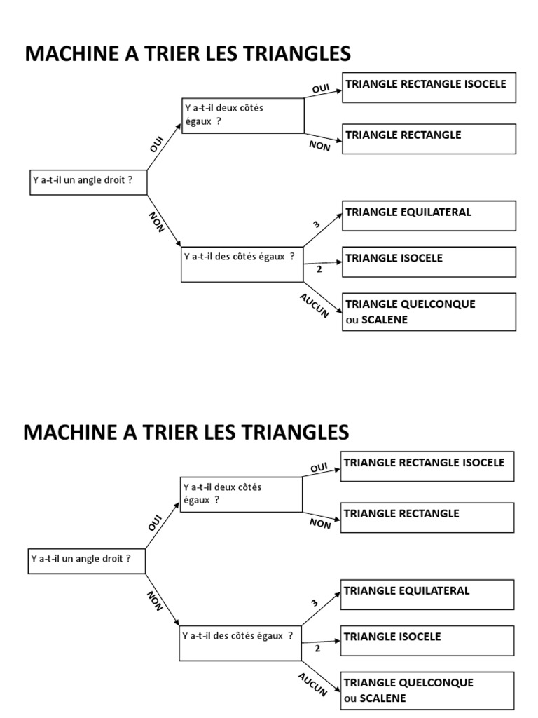 Machine À Trier Les Triangles | PDF | Euclide | Triangle