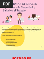 NOM 008 STPS (Resumen) | PDF