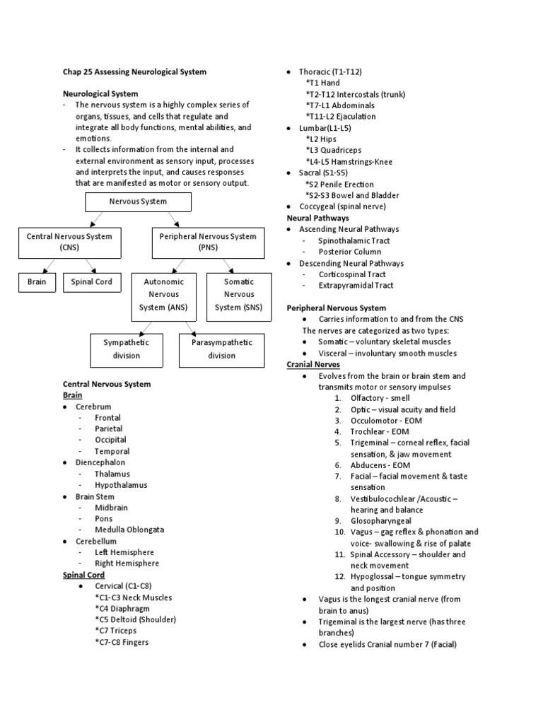 REVIEWER Neurological System | PDF | Central Nervous System | Brainstem