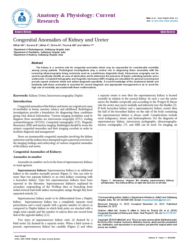 Congenital Anomalies of Kidney and Ureter 2161 0940 1000190 | PDF ...
