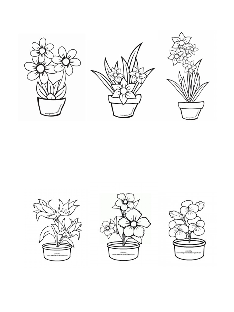 Buku Mewarnai BUNGA | PDF