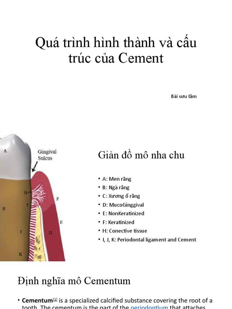 1. Cấu Trúc Của Cement | PDF