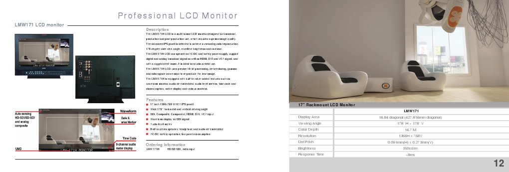 Professional LCD Monitor | PDF | Computer Monitor | Liquid Crystal Display