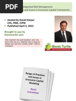 IRRBB Reporting Templates Overview | PDF | Derivative (Finance) | Banks