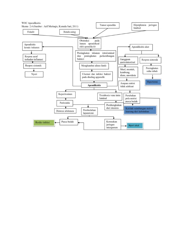 Woc Apendisitis | PDF