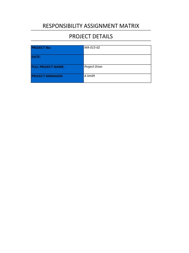 Responsibility Assignment Matrix Template | PDF | Project Management ...