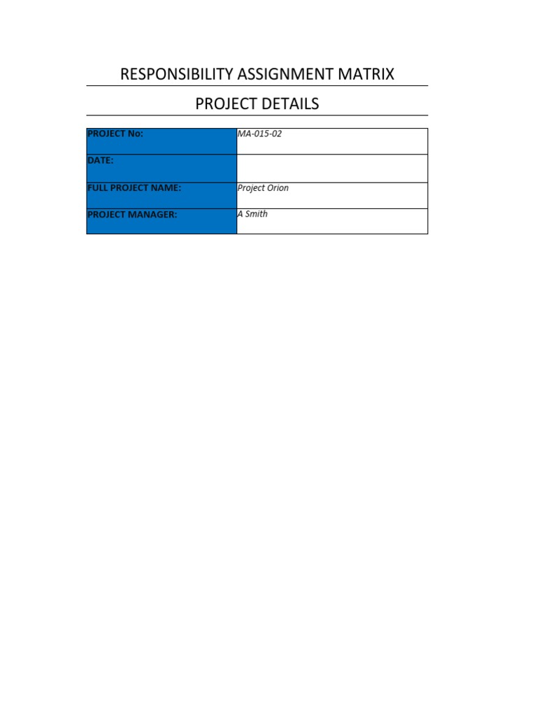 Responsibility Assignment Matrix Project Details: Project No: Date ...
