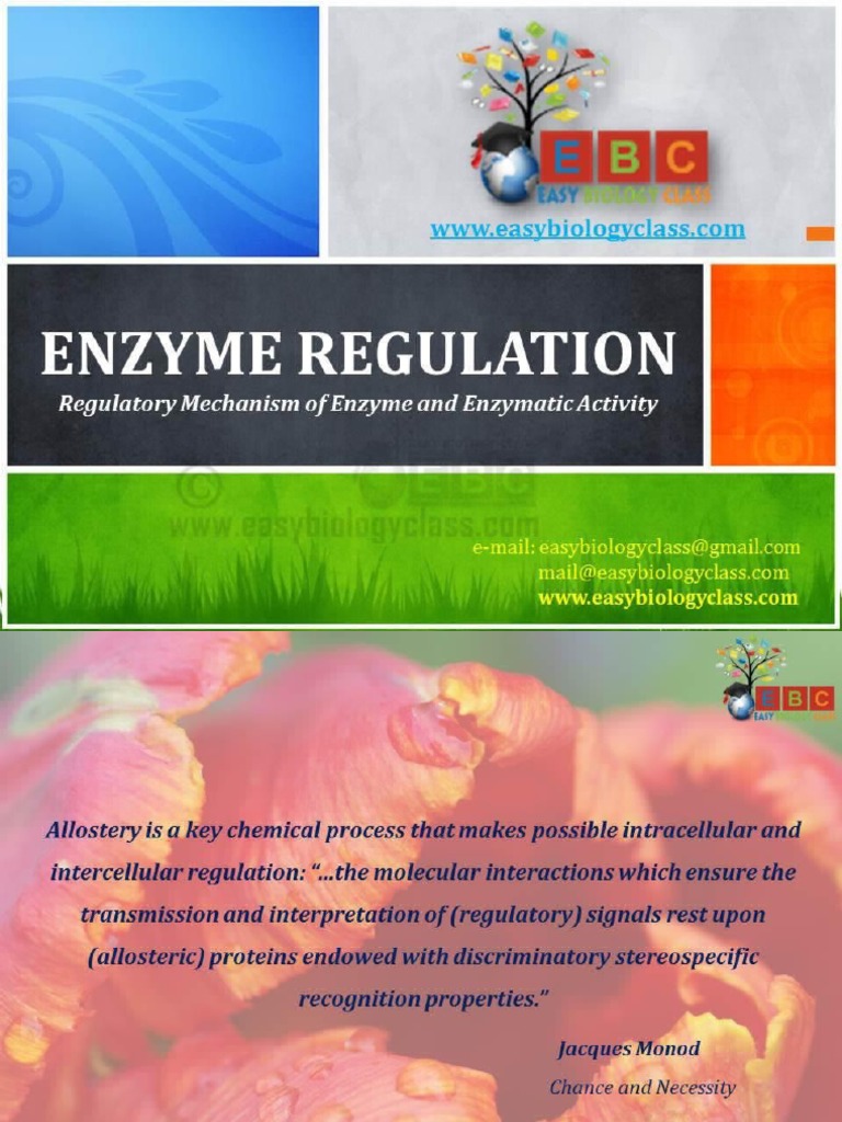 Regulatory Enzymes PPT by Easybiologyclass | PDF