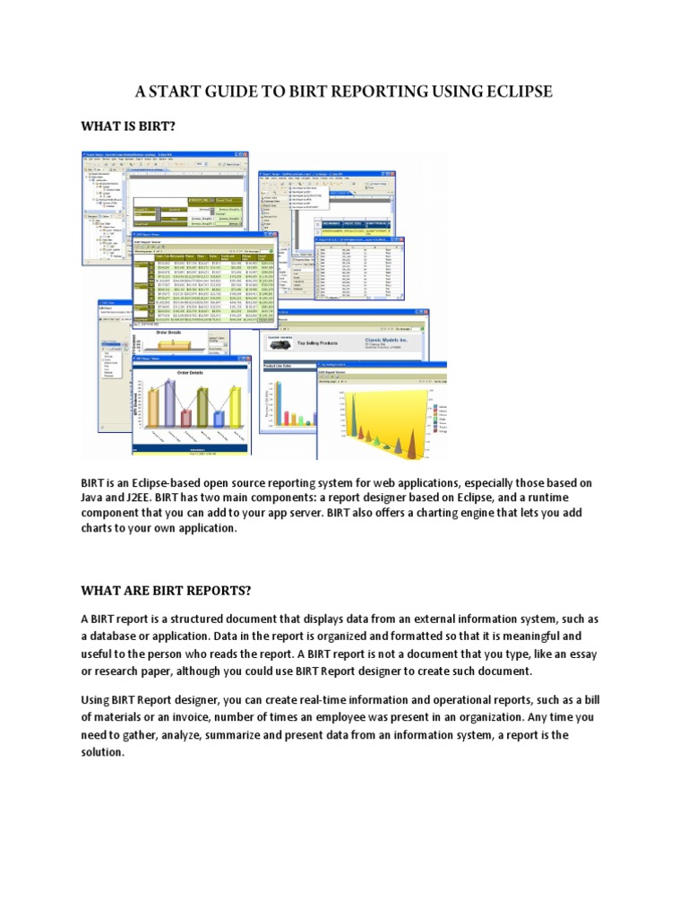 Astartguidetobirtreportingusingeclipse Page Layout Web Application 