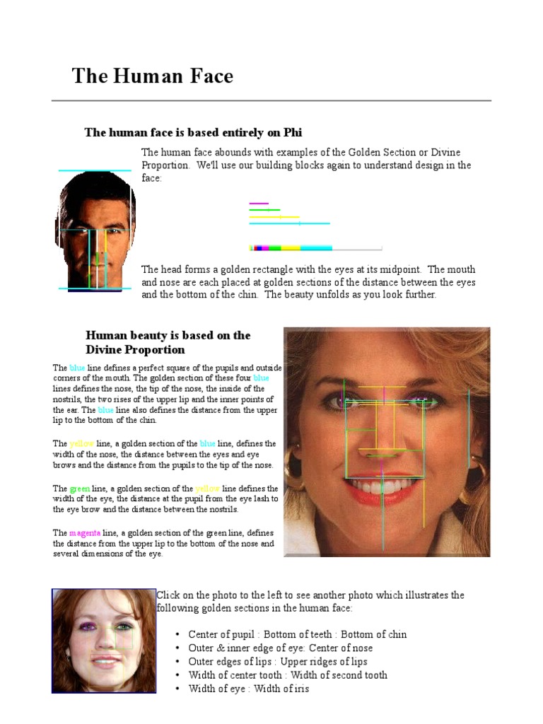 golden ratio-face | Facial Features | Face