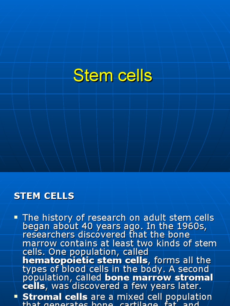 Skeletal Muscle Stem Cells Overview | PDF | Embryonic Stem Cell | Stem Cell