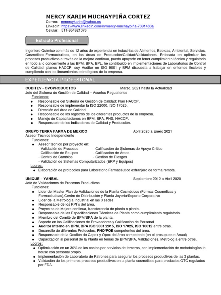 CV-Mercy Muchaypiña R2 | PDF | Análisis de Riesgo y Puntos Críticos de ...