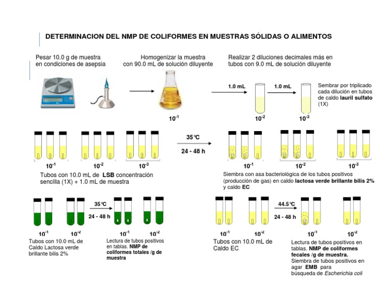 NMP de Coliformes en Alimentos | PDF | Procariota | Las bacterias