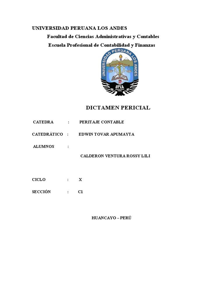 Informe Pericial Contable 2015-2016 | PDF | Contabilidad | Economias
