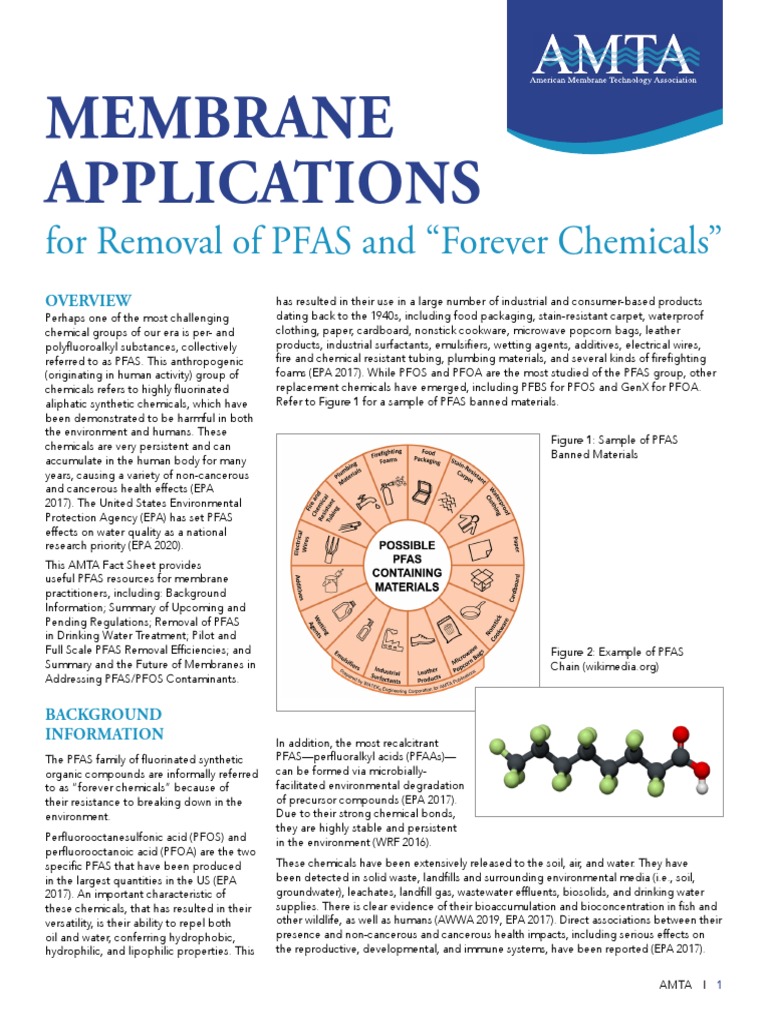 PFAS Removal by Membranes | PDF | Membrane | Drinking Water