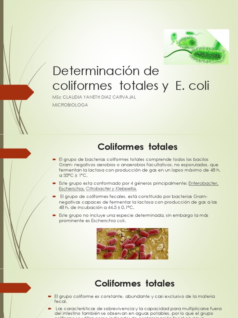 Análisis de Coliformes y E. coli en Alimentos | PDF | Escherichia coli ...