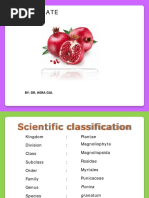 NSIC Seed Variety Catalogue 2023 | PDF | Rice | Organisms