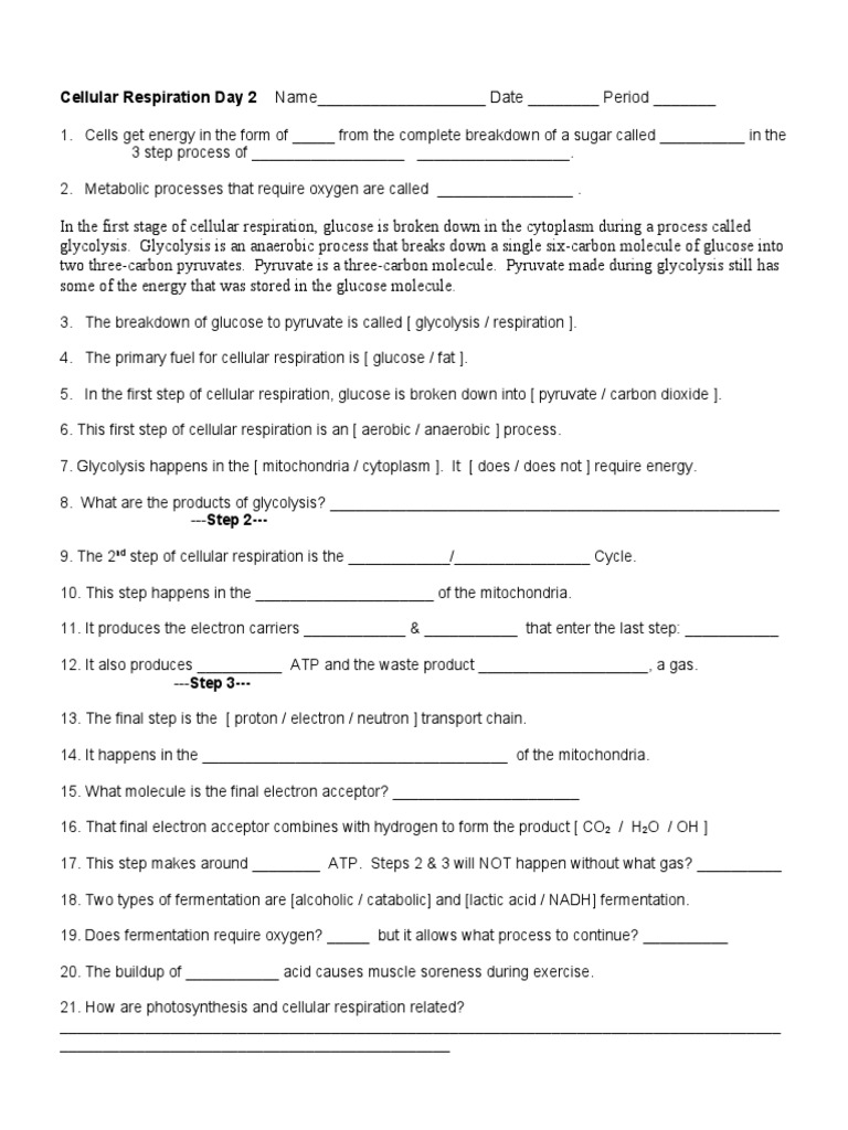 2021 Cellular Respiration Produces ATP Worksheet | PDF | Cellular ...
