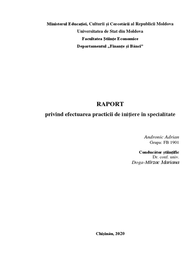 RAPORT Practica de Initiere Finante Si Banci | PDF