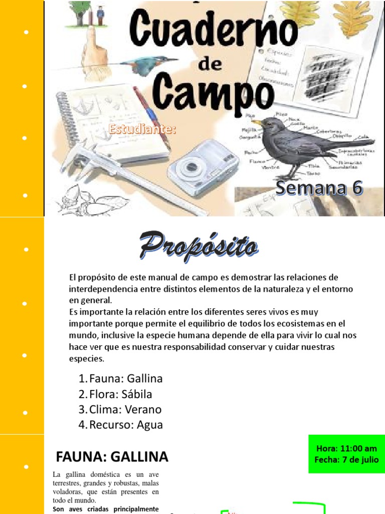 Semana 6 Cuaderno de Campo | PDF | Aves | Agua