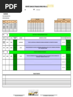 Formulario 017 MSP | PDF