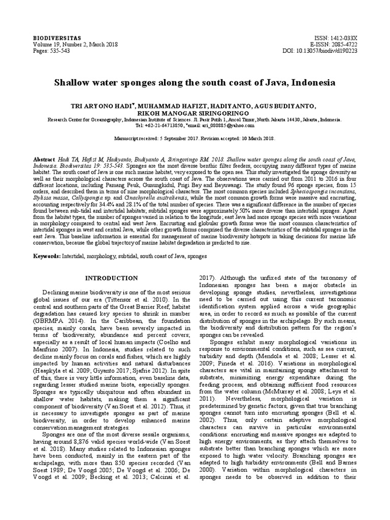 Shallow Water Sponges Along The South Coast of Java, Indonesia | PDF ...