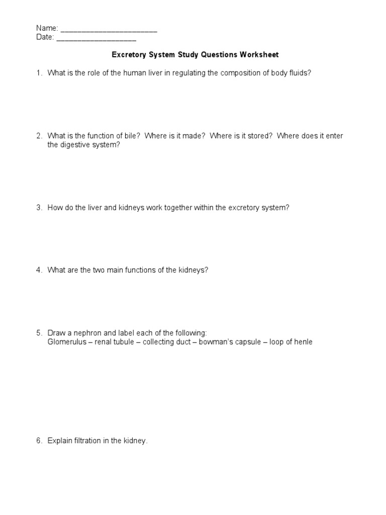 Excretory System Study Questions Worksheet | PDF | Self-Improvement ...