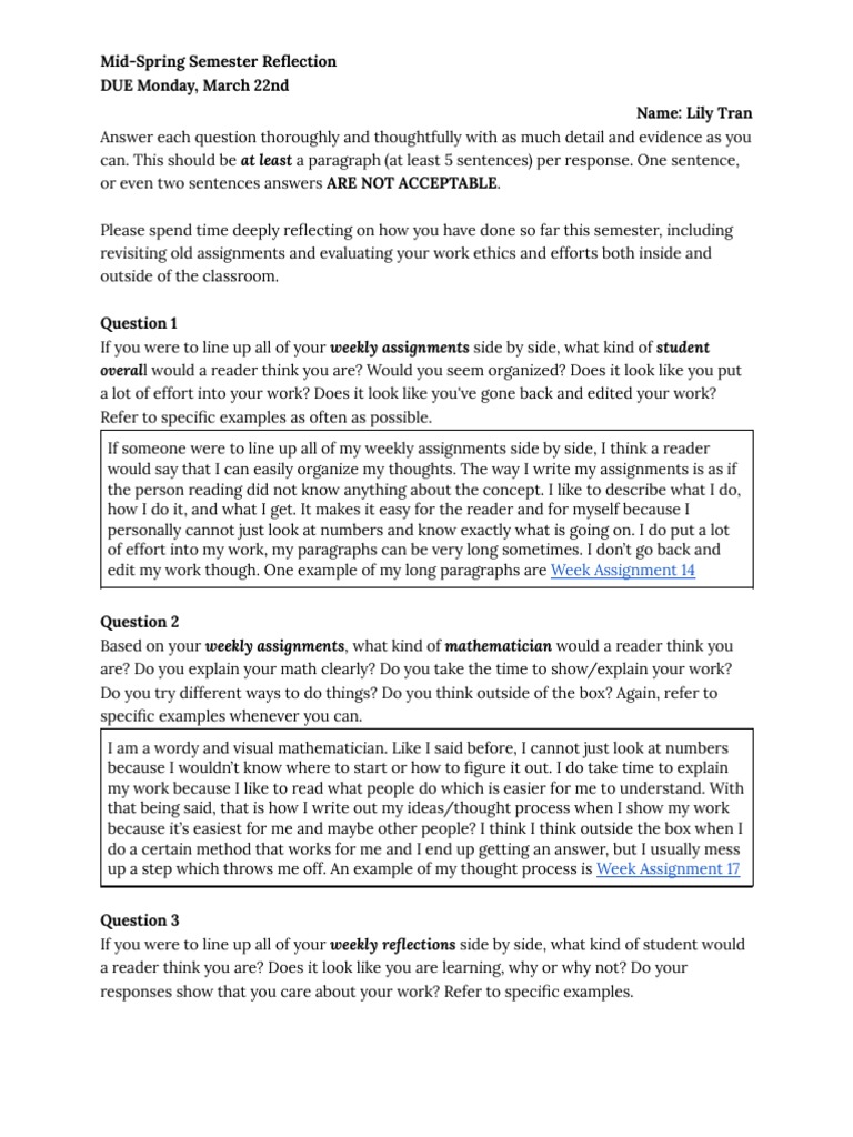 Lily Tran - Mid-Spring Semester Reflection | PDF | Understanding | Concept