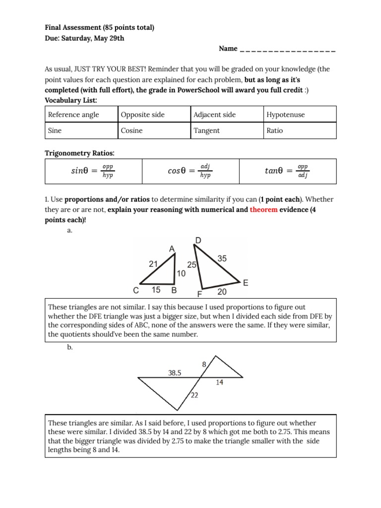 Trigonometry Final Assessment Guide | PDF | Trigonometric Functions | Sine