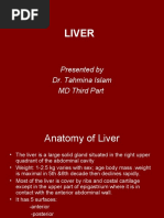 Liver CT Anatomy | PDF | Liver | Medical Specialties