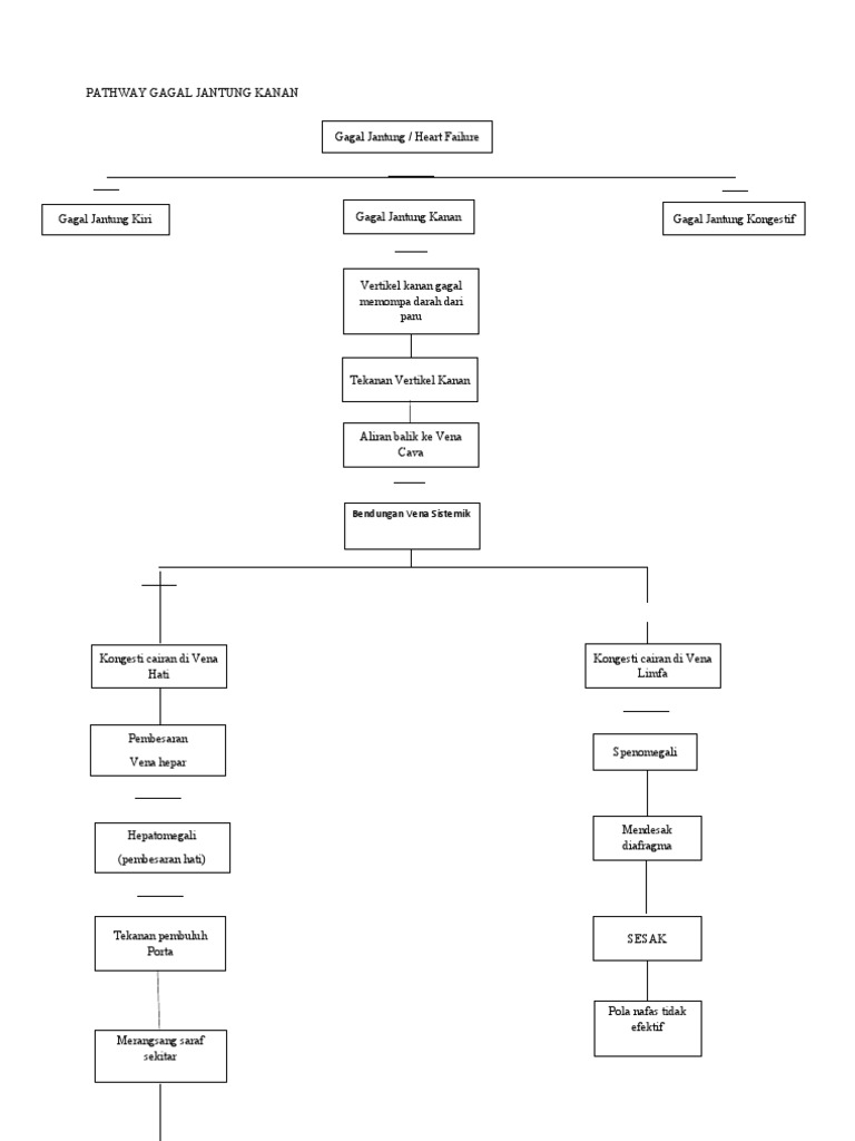 Pathway Gagal Jantung Kanan. | PDF