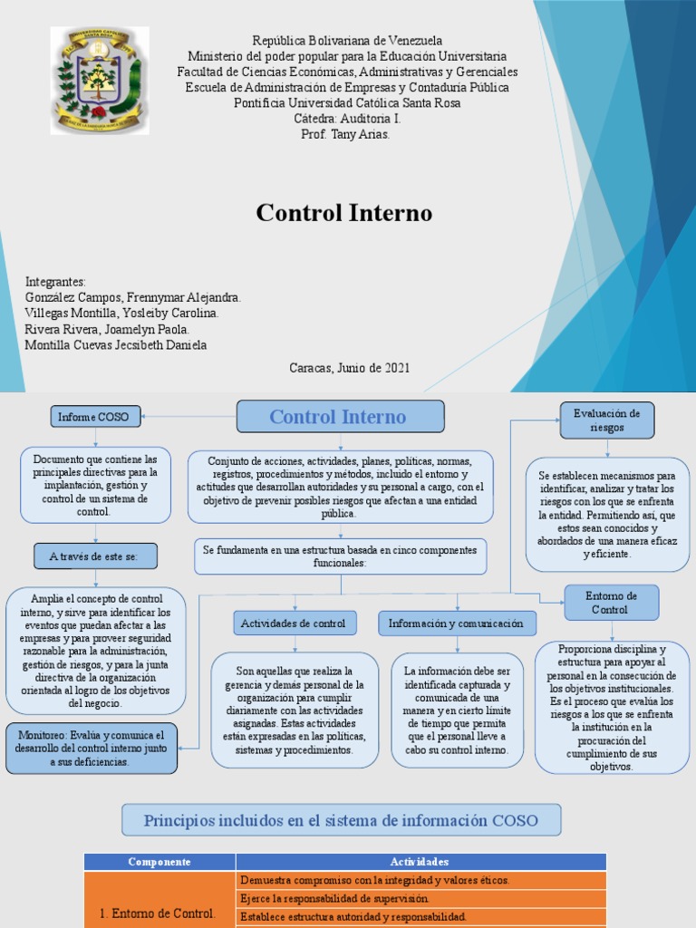 Mapa Conceptual Control Interno | PDF | Sistema | Contador