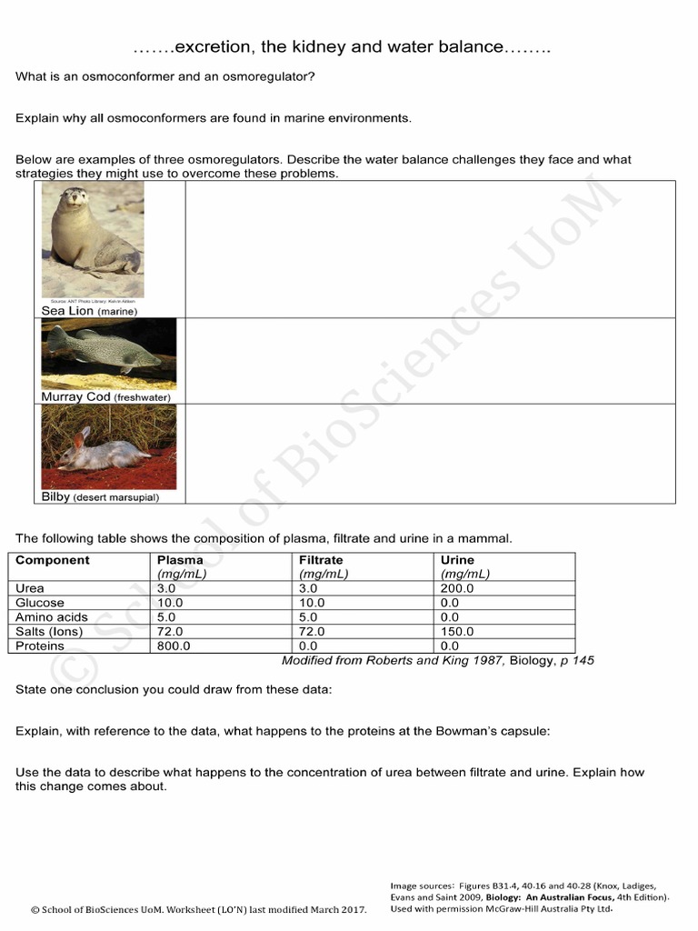 STUDENT BIOL10004 WORKSHEET Excretion - and - Osmoregulation 2017 | PDF