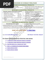 17 TYPES OF GOOD BACTERIA - The List of Most Beneficial Species of ...