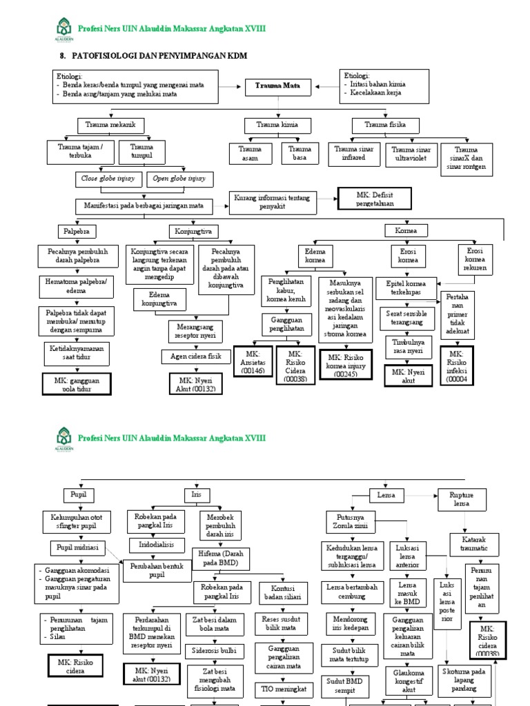 Pathway Trauma Okuli | PDF