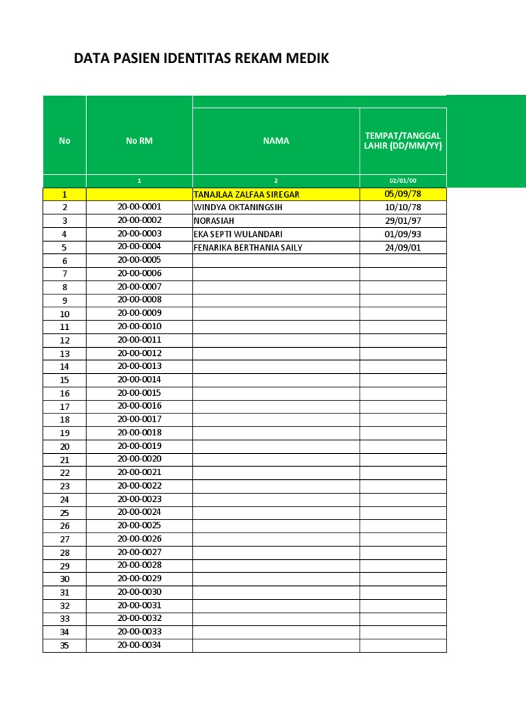Excel Data Rekam Medik Manual | PDF