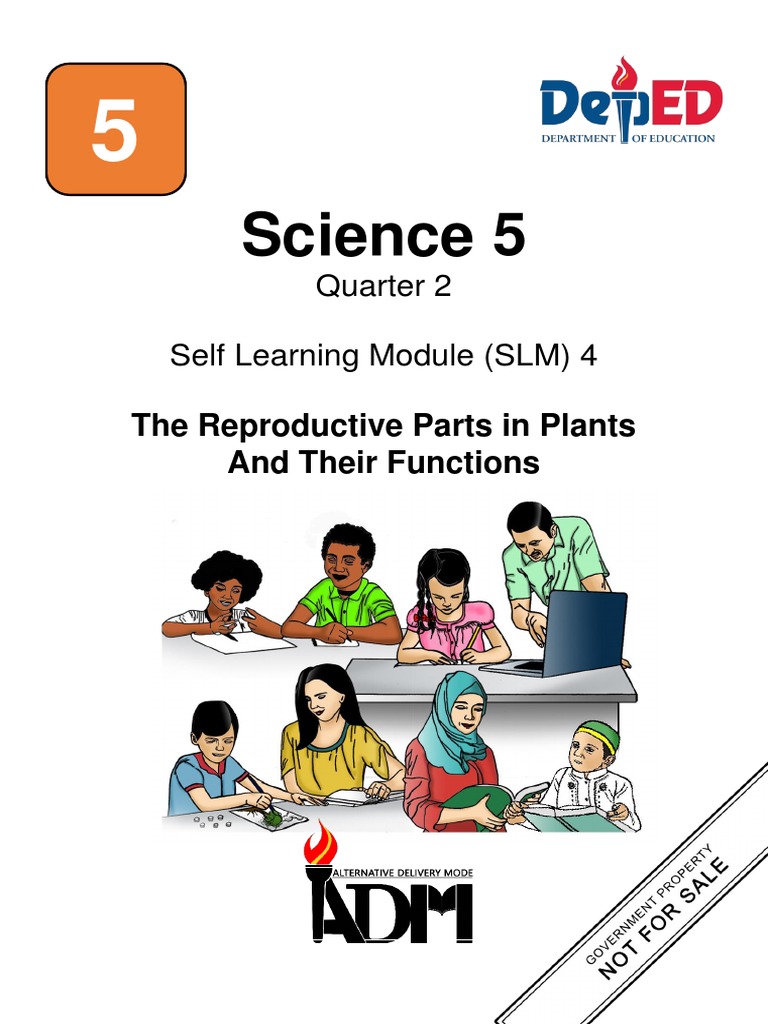 SCIENCE-5-Q2-Module 4 | PDF | Flowers | Plant Reproduction