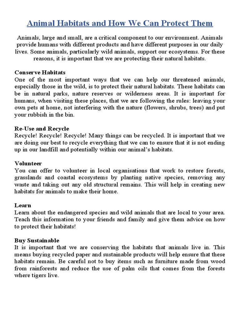 Animal Habitats and How We Can Protect Them