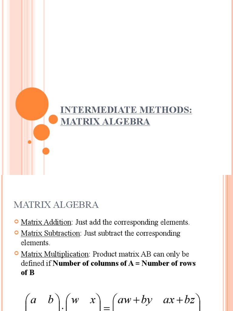 Matrix Algebra | PDF | Matrix (Mathematics) | Algebra