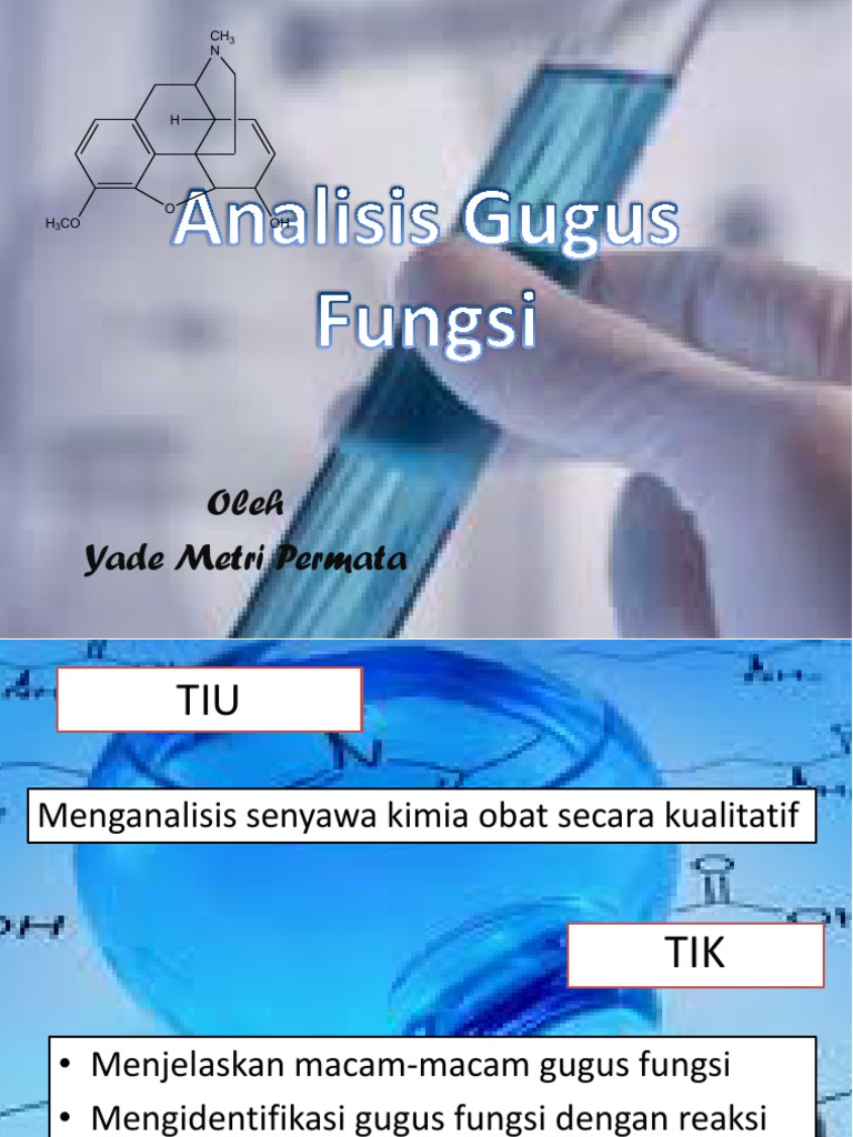 Identifikasi dan Analisis Gugus Fungsi Kimia | PDF